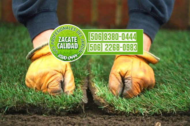 Contáctenos – Venta e instalación de Zacate Calidad en Costa Rica