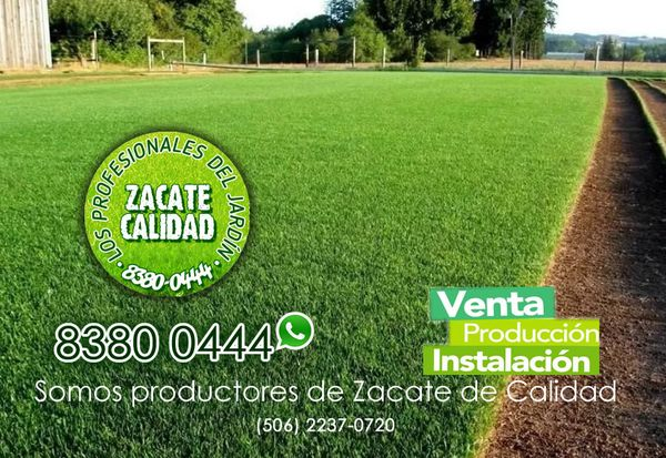 Empresa – Venta e instalación de Zacate Calidad en Costa Rica