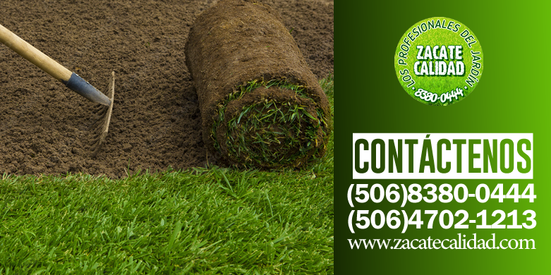 Servicios – Venta e instalación de Zacate Calidad en Costa Rica